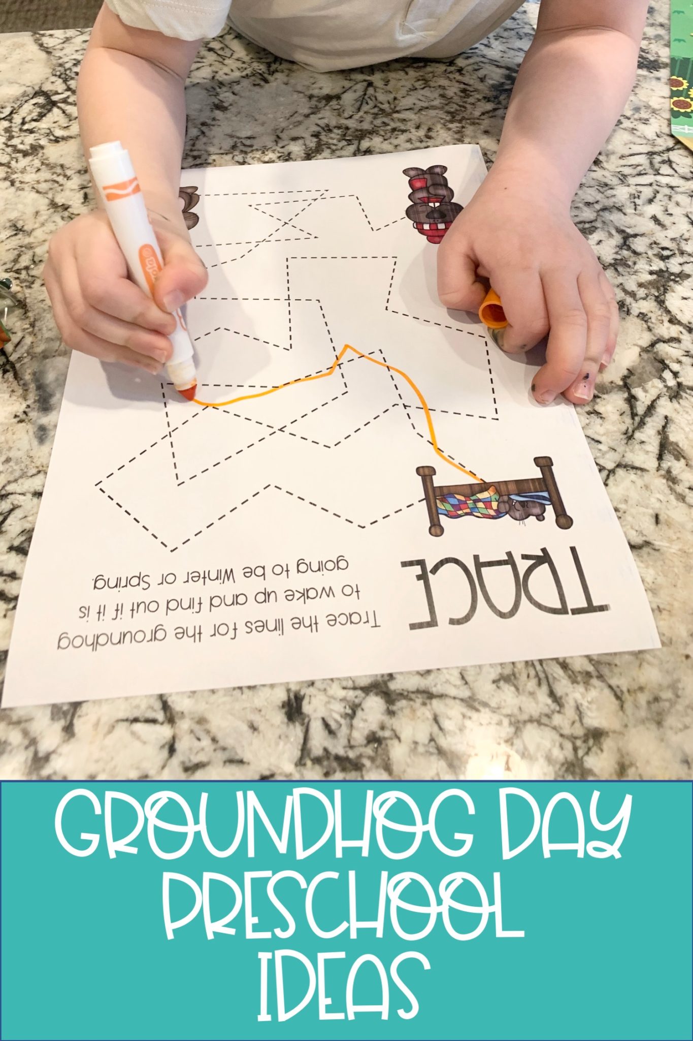 Groundhog Day Preschool Ideas - Little Owl Academy